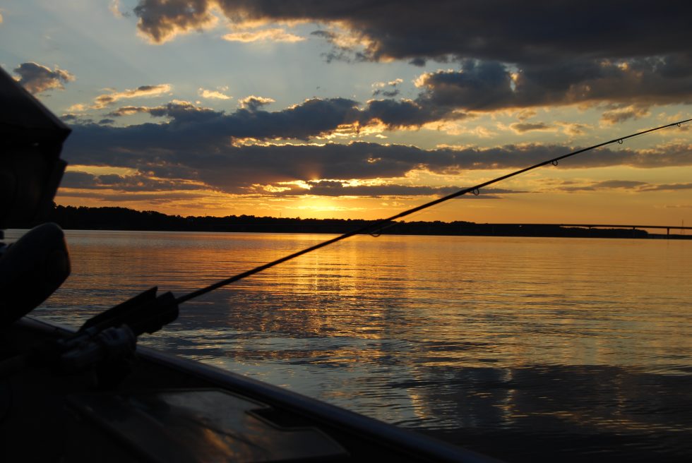 World Class Fishing Opportunities | The Hinchinbrook Way