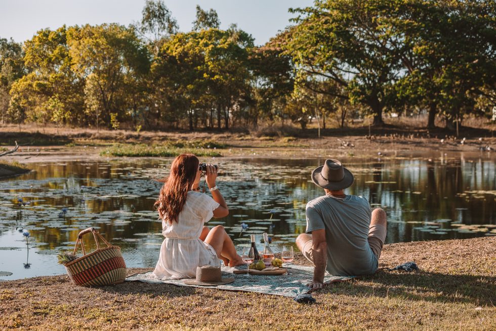 Birdwatching Paradise | TYTO Wetlands | The Hinchinbrook Way