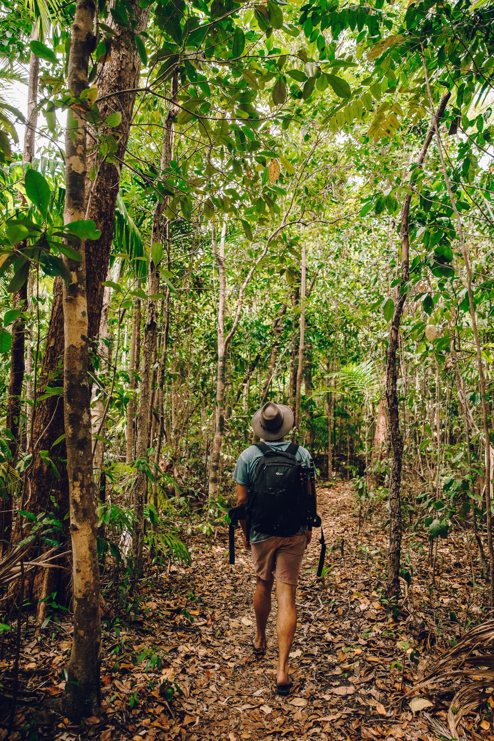 The Hiking Challenge | Thorsborne Trail | The Hinchinbrook Way